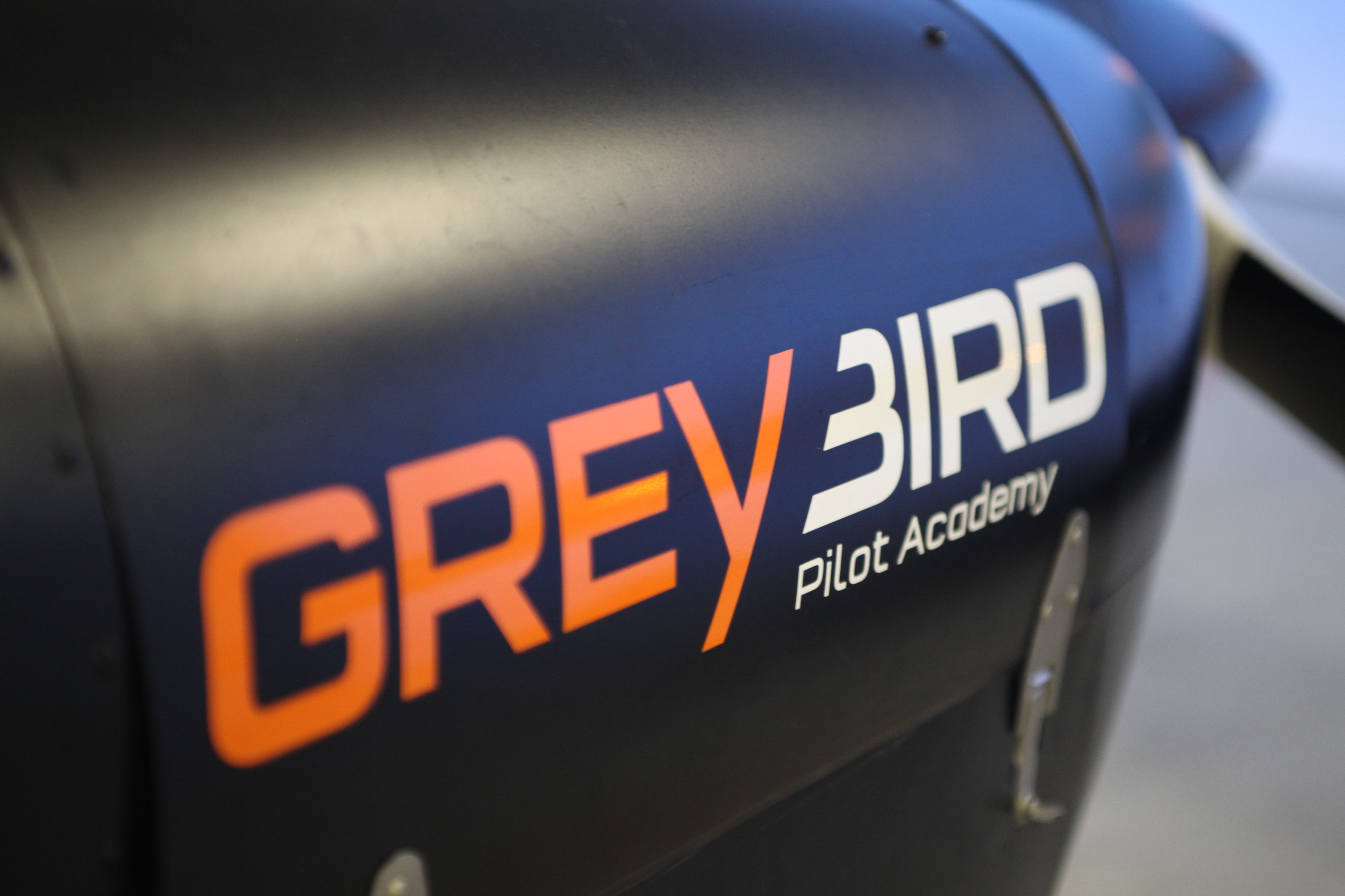 Grey Bird Logo Eagle Logo Or Hawk, Bird Sign With Circle Red Color And